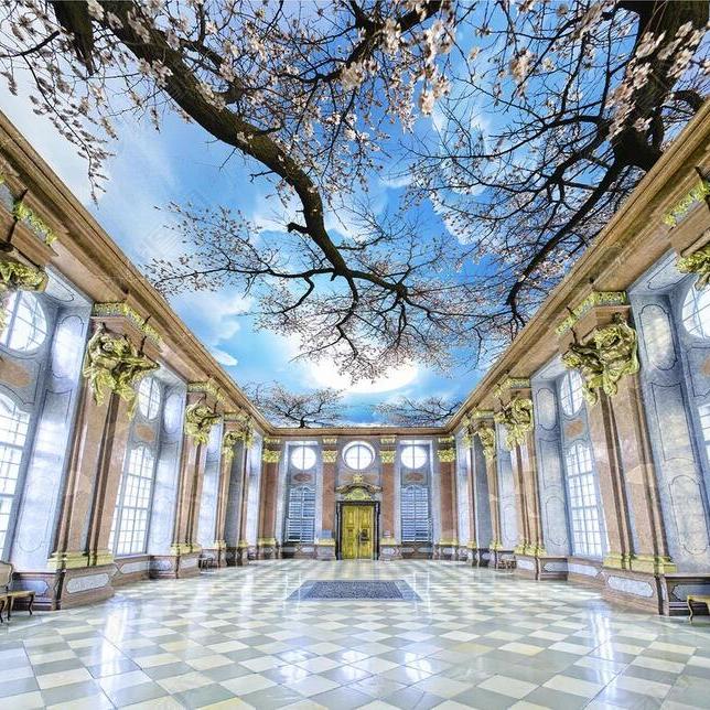 Custom 3D Wallpaper Beautiful Moon Sky Forest Ceiling Mural | BVM Home