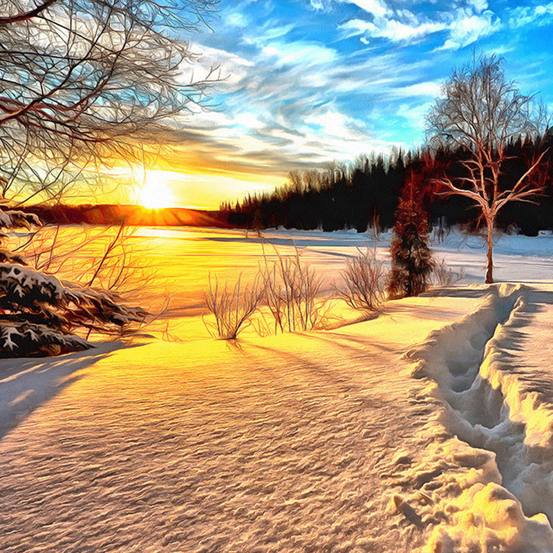 Custom 3D Photo Wallpaper Mural Sunrise Snow Scene BVM Home