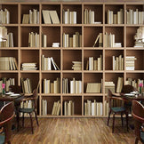 Bookcase Library Custom Wallpaper Mural | BVM Home