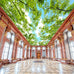 Custom Wallpaper Forest Ceiling Mural Sky Clouds Trees | BVM Home