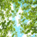 Custom Wallpaper Forest Ceiling Mural Sky Clouds Trees | BVM Home